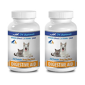 Dog Digestive System - Pet Digestive Aid - Probiotics - for Dogs and Cats - Chewable - Silica for Dogs - 2 Bottle (120 Chews)
