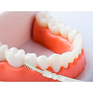 Little Dreams Products Double-Head Brushed Toothpick Interdental Brush Toothbrush for Dentures Soft Plastic Oral Care 2.4 Inch Long Rinse The Tooth. 200 Count (Blue)