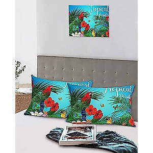 Tropical Plants Pillow Covers King Standard Set of 2 Bed Pillow, Colorful Summer Flowers Botanical Parrot Blue Plush Soft Comfort for Hair/ Skin Cooling Pillowcases with Envelop Closure 20''x36''