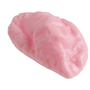 Nikki's Knick Knacks 7 Piece Prank Kit Set- Whoopee Cushion, Dirty Diaper, Chewed Gum, and More!