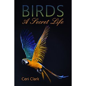 Birds A Secret Life: A disguised password book and personal internet address log for bird lovers (Disguised Password Books)