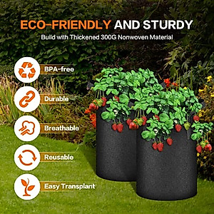 iPower 3 Gallon Heavy Duty Thickened Aeration Grow Bags Nonwoven Fabric Pots with Strap Handles Container for Gardening, 5-Pack Black