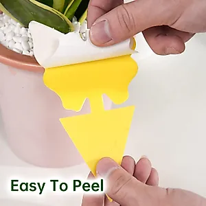 ALLRoad Fungus Gnat Sticky Traps for Plant 54 Pcs Fruit Fly Trap Yellow Sticky Gnat Killer for Indoor Outdoor Catch Bug, Whitefly, Mosquitos, Flying Insects