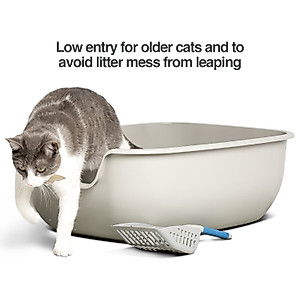 PetFusion BetterBox Non-Stick Large Litter Box. Pet Safe Non-Stick Coating for Easier Cleaning & Superior Hygiene. Open Top Box Promotes Healthy Usage. Litter Pans Made of Stronger ABS Plastic, Grey