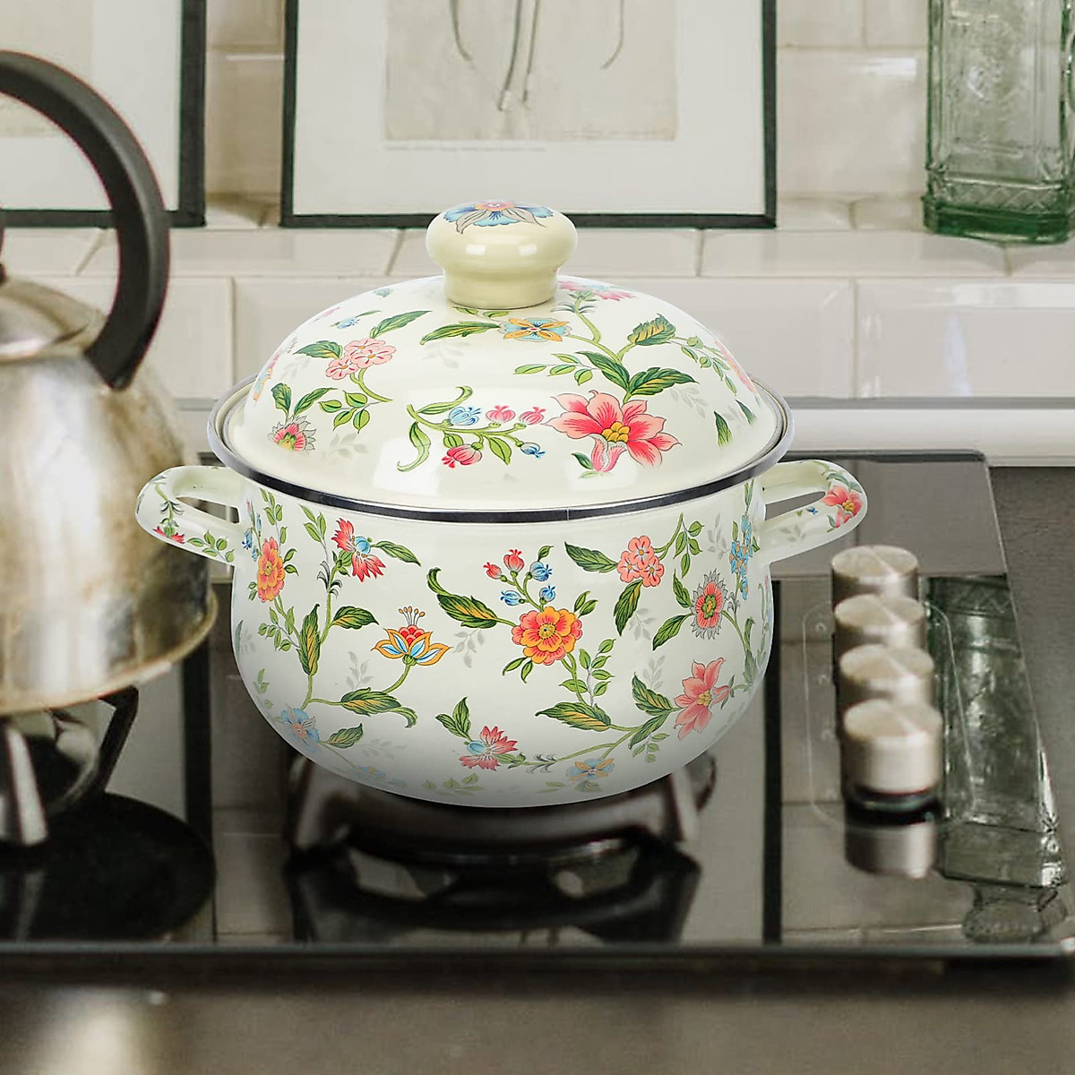 Colorful Enamel Stock Pot with Lid Double Ear for Cooking, 20x20cm, BMR0609A2S15L5