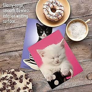 The Best Card Company - 10 Adorable Blank Cat Cards (4 x 5.12 Inch) - Cute Pet Kittens, Assorted Bulk Notecard Set - Cup-Cats M3969
