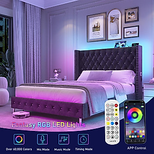 Hlivelood Queen LED Upholstered Bed Frame with Wingback Headboard, Velvet Diamond Button Tufted Bed Frame w/USB&Type-C Ports, Pocket and LED Lights, Wood Slats Support, No Box Spring Needed, Dark Grey