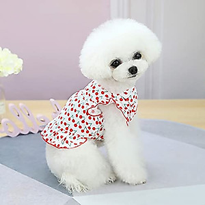 Dog Party Dresses for Small Dogs Dresses Spring and Summer Pet Clothes Spring Cute Pet Supplies Cotton Thin Skirt Large Cat Apparel