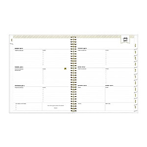 2023-2024 Day Designer Weekly/Monthly Planning Calendar, 8-1/2" x 11", Swiss Dot Blush Frosted, July 2023 to June 2024, 142496