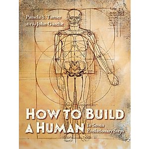 How to Build a Human: In Seven Evolutionary Steps