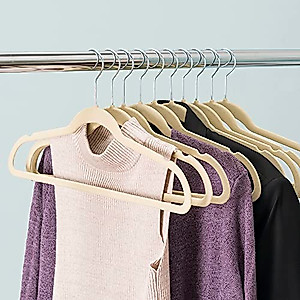 Velvet Slim Non-Slip Hangers (10 Pack) Ivory by Home Basics