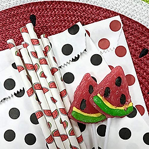 Watermelon Themed Paper Straws - Red Green White - 50 Pack