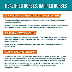 Alimend Stomach Support for Horses, 128 Fluid Ounce (3785 ml)