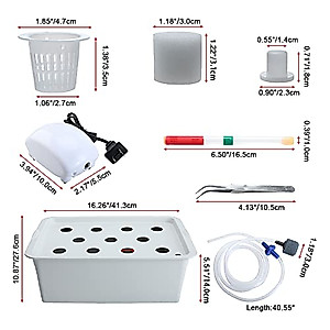 Xeternity-Made Indoor Hydroponic Grow Kit with Bubble Stone, 11 Sites (Holes) Bucket, Air Pump, Sponges - Best Indoor Herb Garden
