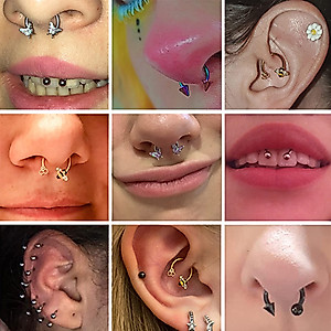 Sanfenly 20Pcs 16G Surgical Steel Horseshoe Nose Septum Rings Piercing Jewelry Cartilage Helix Tragus Daith Earring Hoop Lip Horseshoe Piercing for Women Men 8mm 10mm