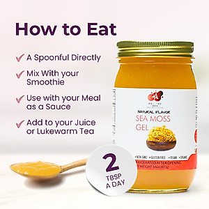 Healthy Herbs Sea Moss Gel (Natural) Wildcrafted from Jamaican St Lucia Gold Seamoss | Wild-Harvested Superfood With Over 90 Essential Vitamins & Minerals | Vegan, Non-GMO, US-Made (16 oz.)