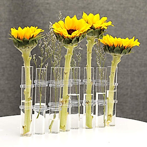 DOITOOL 8Pcs Test Tube Vase Decorative Glass Vase Hinged Bud Test Tubes Vases Planter Arranging Container Hydroponic Holder Decor with Hooks and Brushes 18cm