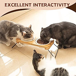 PLUROOF Ceramic Elevated 15°Tilted Cat Bowls, Food and Water Feeding Dishes Bowls, Non-Slip Metal Frame Stand Feeder for Small Size Dogs