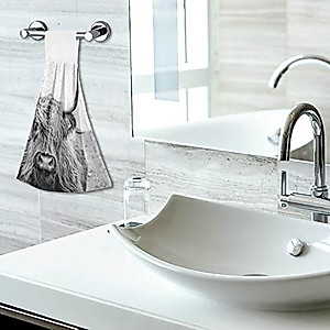 Qilmy Hand Towels Set of 2, Absorbent Hanging Towels with Loop & Hook, Dishcloths Wash Cloth for Kitchen Bathroom, Highland Cow