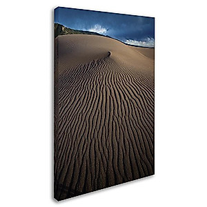 Desert Design by Dan Ballard, 30x47-Inch Canvas Wall Art