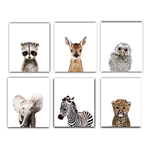 Designs by Maria Inc. Set of 6 UNFRAMED Woodland Nursery Decor Animal Posters | Zoo Theme Baby Room Decorations | Safari Jungle Nursery Wall Art Prints | Baby Animals Prints Nursery Decor Set (8"x10")