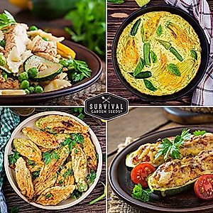 Survival Garden Seeds - Black Beauty Zucchini Seed for Planting - Pack with Instructions to Plant and Grow Dark Green Zucchini in Your Home Vegetable Garden - Non-GMO Heirloom Variety - 1 Pack