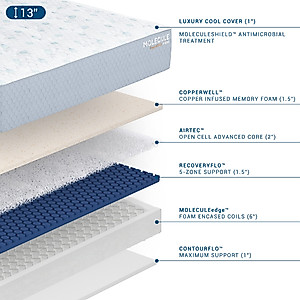 Molecule CopperWELL 13" Hybrid Cooling Gel Memory Foam and Encased Coil Medium Firm Mattress, Twin XL