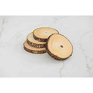 Lipper International Acacia Tree Bark Coasters, Set of 4