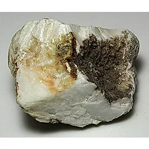 Barite Bologna Stone - Pack of 2 Unpolished Minerals