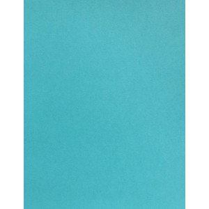Colorplan Turquoise Blue Cardstock Paper - 8.5 X 11 Inch Premium Matte 100 Lb. Heavyweight - 25 Sheets from Cardstock Warehouse