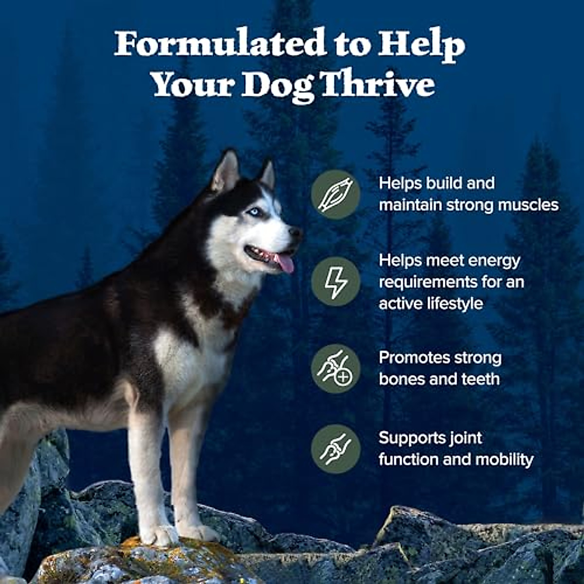 Blue Buffalo Wilderness Natural High-Protein Dry Food for Adult Dogs, with Wholesome Grains, Duck, 28-lb bag.