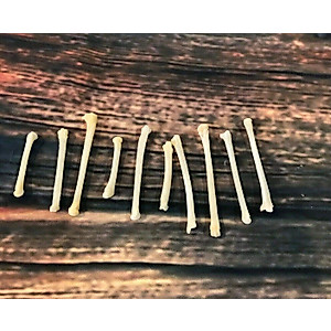 10 Real Red Fox Paw Bone Mountain Man Craft Supply Jewelry Earring Gothic Claws