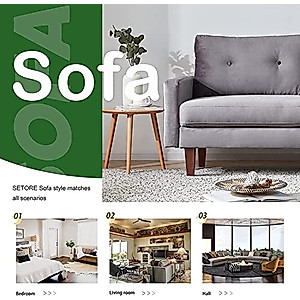 Dreamsir 69" Modern Cream Love Seats Sofa Couch Furniture, Velvet Fabric Mid Century Couch for Living Room, Bedroom, Apartment/Easy, Tool-Free Assembly (Sofa, Gray)