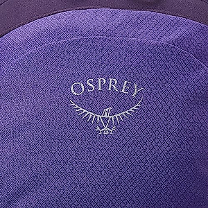 Osprey Daylite Commuter Backpack, Dream Purple