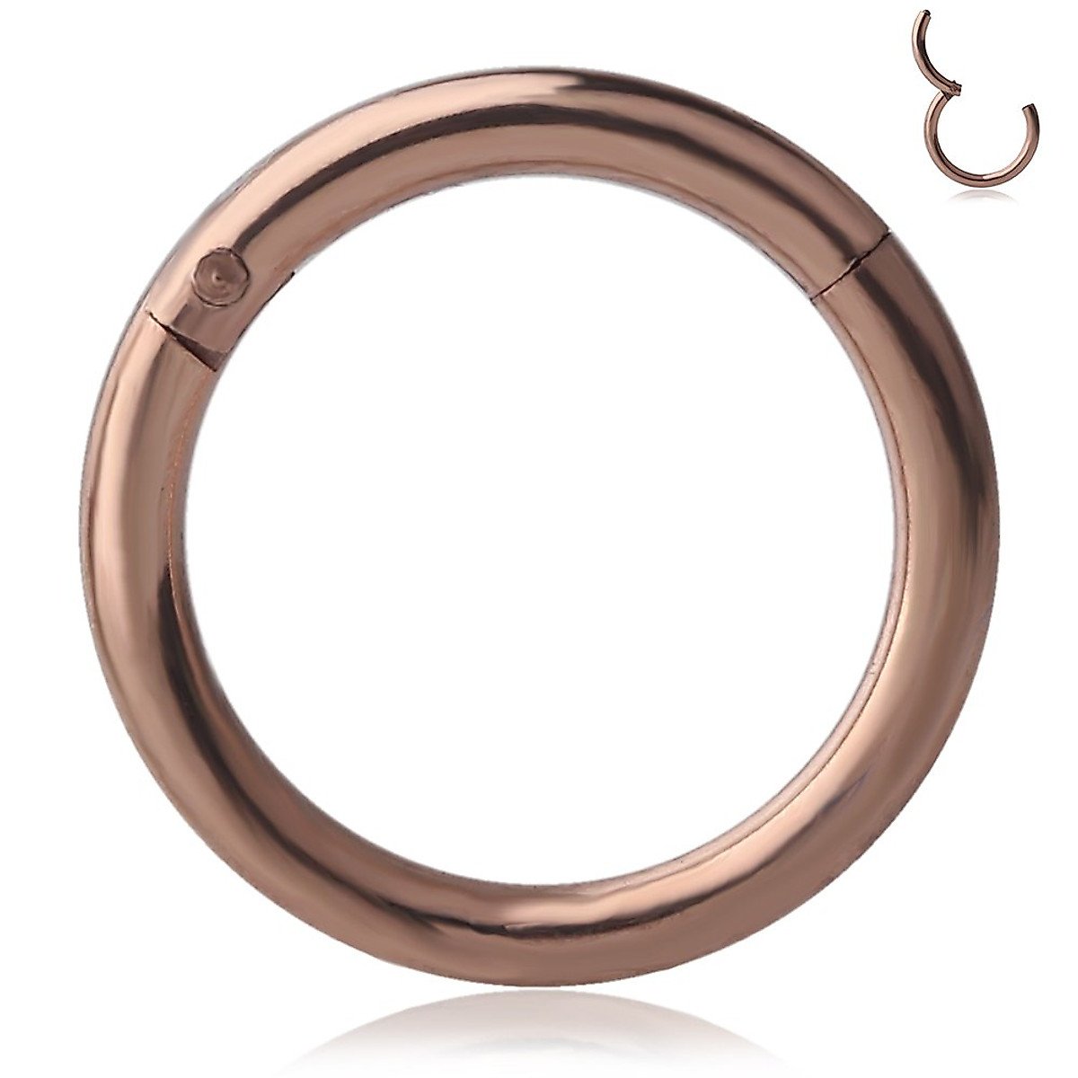 Ruifan 1PC Stainless Steel Hinged Seamless Segment Hoop Septum Clicker Ring Lip Helix Tragus Cartilage Earrings Nose Rings Pirecing 14g 8mm Rose Gold