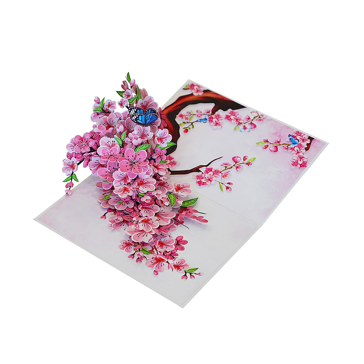 PQ Bees Pop Up Mothers Day Card for Women Mom Grandma Wife, 3D Birthday Anniversary Get Well Soon Thank You Valentines Day Card (Size 6x8 In – Butterflies Cherry Blossom).