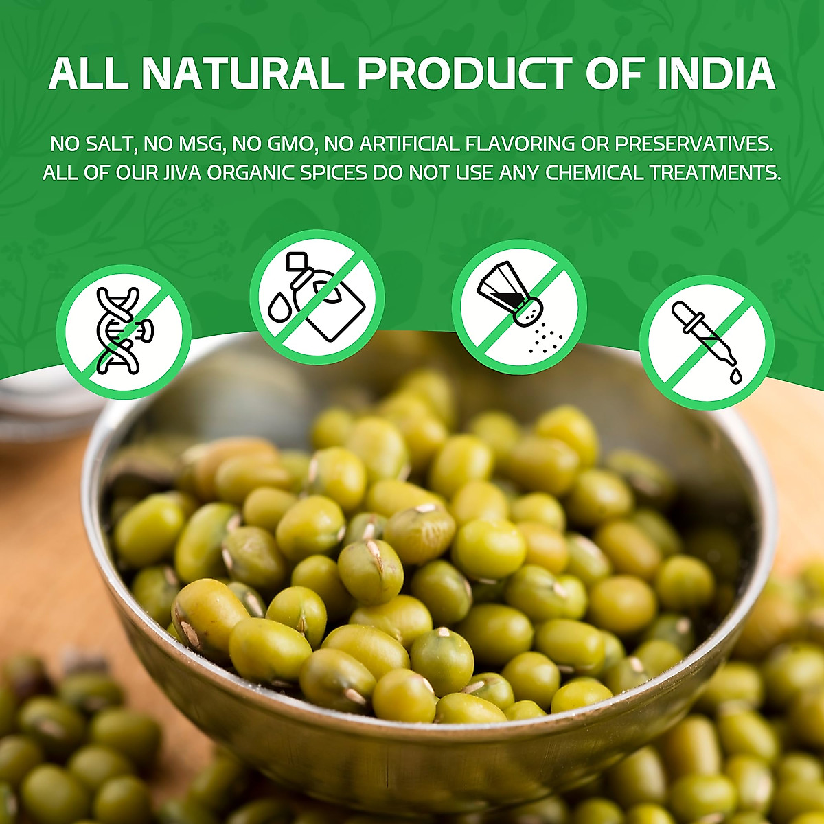 Jiva Organic Mung Bean - Mung Moong Beens Whole for Sprouting and Cooking - 2 lb Bean Bag – Indian Spices