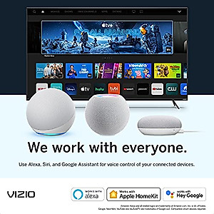 VIZIO 43-inch D-Series Full HD 1080p Smart TV with Apple AirPlay and Chromecast Built-in, TV Only (Renewed)