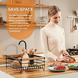 BRIAN & DANY Dish Drying Rack, Dish Racks for Kitchen Counter, Stainless Steel Dish Drainer with Removable Cutlery Holder & Drainboard, Black