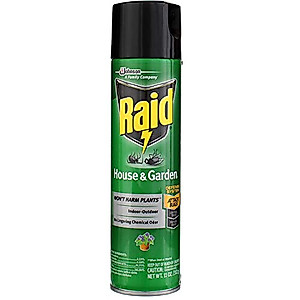 Raid House and Garden Aerosol, 11 OZ (Pack of 3)