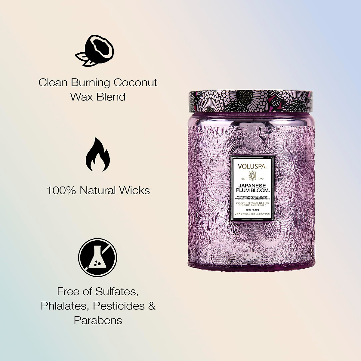 Voluspa Japanese Plum Bloom, Large Candle Jar, 18 oz, 100 Hour Burn Time, All Natural Wicks and Coconut Wax for Clean Burning, Vegan, Poured in the USA
