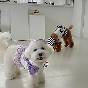 Pet Girls Suit Vintage Pearl Plaid Bow Dog Tutu Dress with Adjustable Hat Doggie Sweatshirt Puppy Girl Funny Costume Spring Dog Cat Outfits Apparel