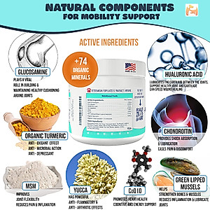 Best Natural Health Supplements for Dogs, Various Formulas & Benefits - Vet Recommended, 170 Natural Soft Chews - Smoky Bacon Flavor, Made in The USA (Hip&Joint Mobility Support)