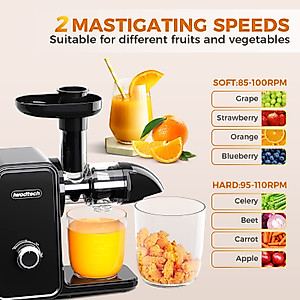 IWODTECH Juicer Machine, Cold Press Juicer with 2 Speed Modes, Slow Masticating Juicer Vegetable and Fruit, Celery Juicer, BPA-Free, Easy to Clean, Black