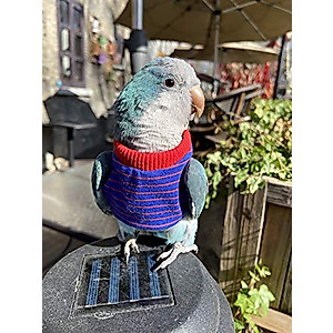 HEZHUO Bird Clothes， Parrot Bird Supplies, Light Flying Clothes, Warm and Comfortable, Tiger Skin, Green Cheek Parrot, Little Sun Parrot, Monk Parrot, Starling, mynah, Senegal Parrot, Mini Macaw (L)
