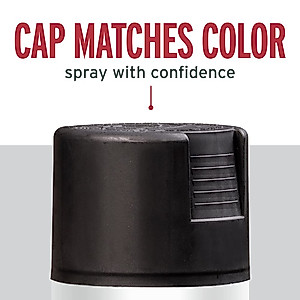 Rust-Oleum 7776830-6PK Stops Rust Spray Paint, 12 Oz, Flat Black, 6 Pack