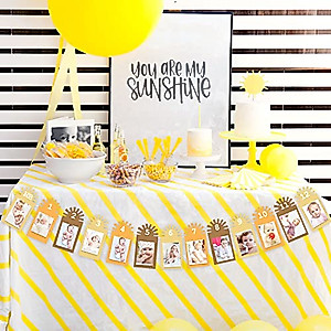 Gankbite Sunshine 12 Month Photo Banner Boho Neutral Rainbow 1st Birthday Decoration First Trip Around The Sun One Year Party Supplies