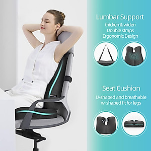 seeknow Lumbar Support Pillow for Office Chair Cushion for Back Pain Relief Office Chair Cushion Car Seat Cushion for Tailbone Pain Relief, Coccyx, Lower Back& Sciatica Pain Relief Butt Pillow Memory