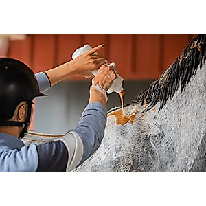 Kawell USA Natural Horse Shampoo for Skin and Coat Care - suitable for Minor Injuries, Cuts, Ulcers, Skin Allergies and Irritations, infused with Matico Healing Properties, 32 oz.