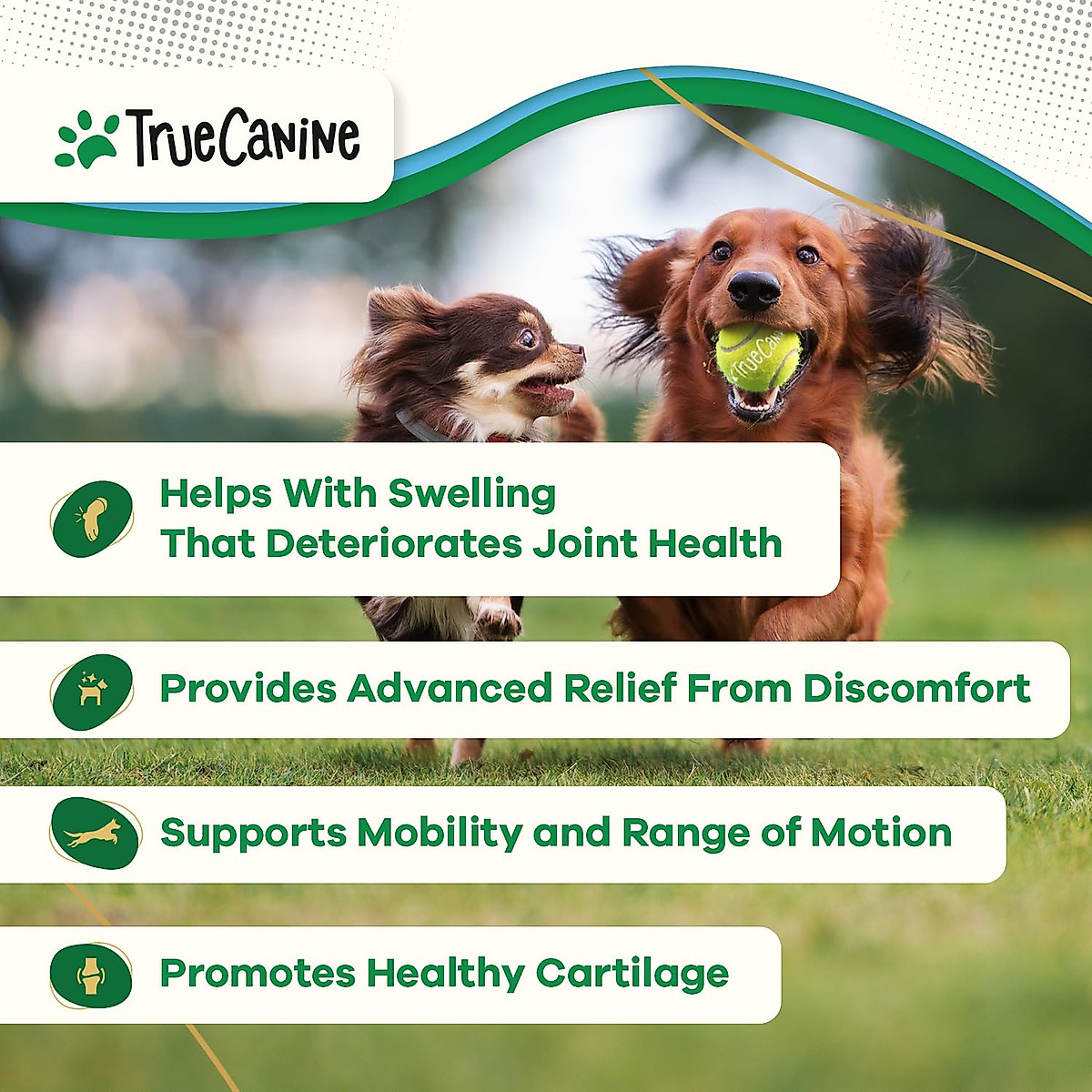 New Flex TrueCanine Joint Supplement for Dogs - All Natural Dog Joint Supplement with Green Lipped Mussel, MSM, DHA & Collagen for Dogs, Hip and Joint Supplement Dogs - Chicken Flavor, 2oz Powder